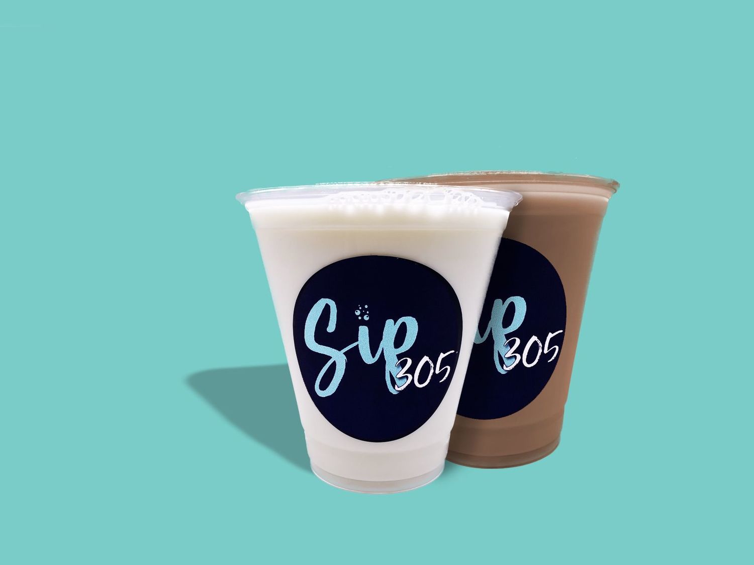 SIP 305
