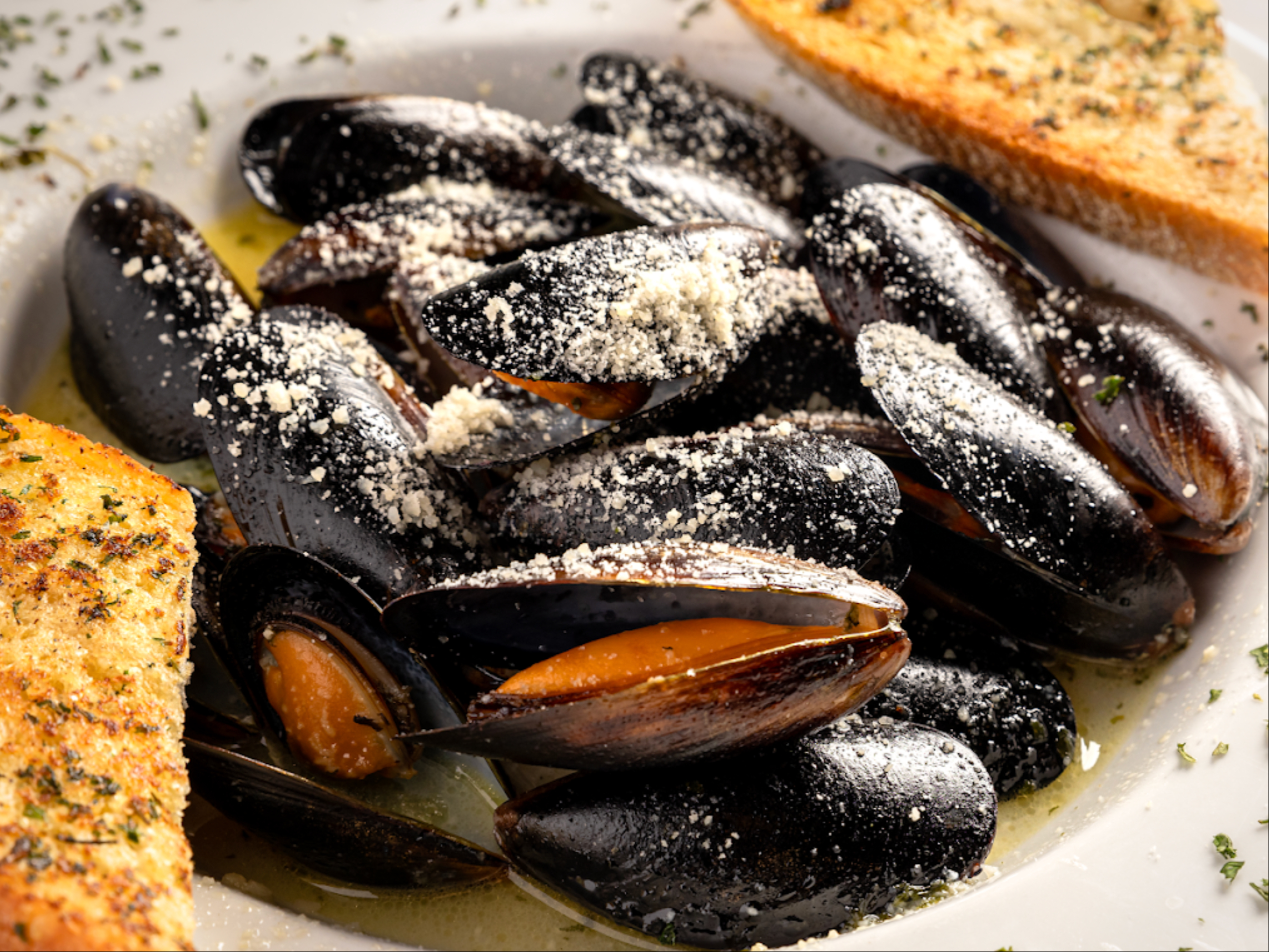 Best Italian food in Strongsville, OH | Gusto Dolce Italian Bistro ...