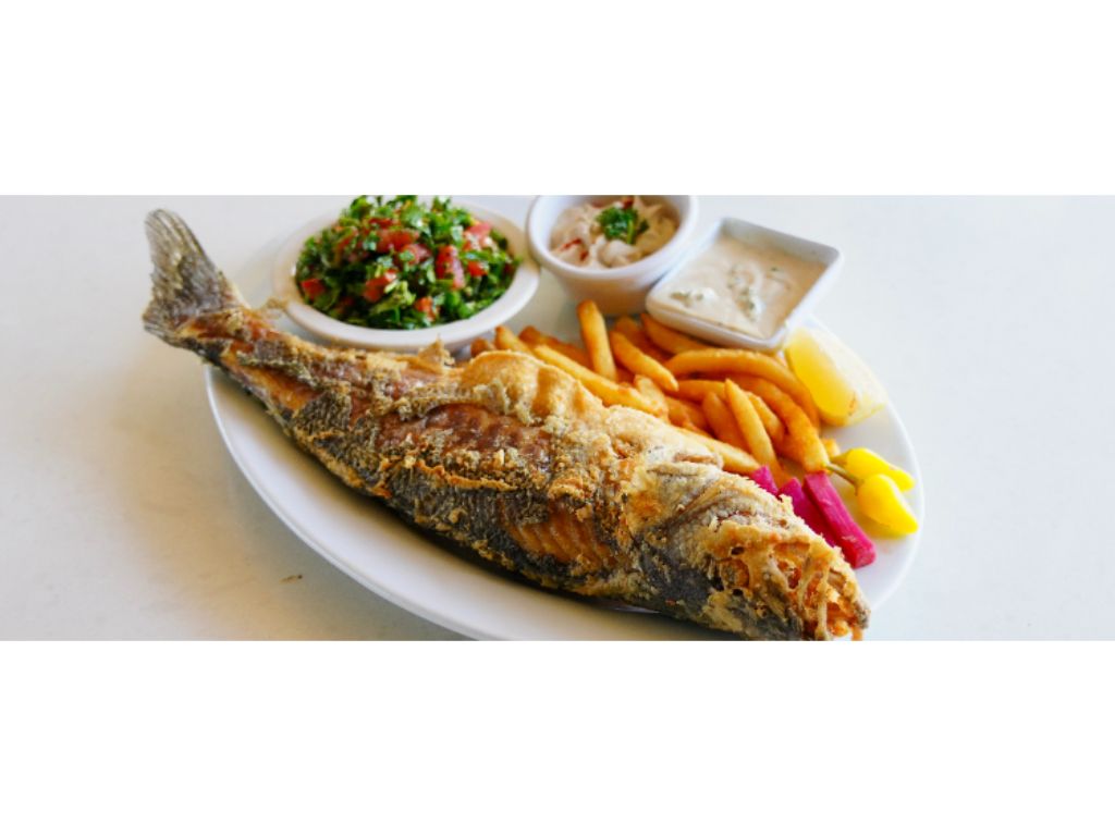 Best Mediterranean food in Glendale, CA | Tarme Mediterranean Grill ...